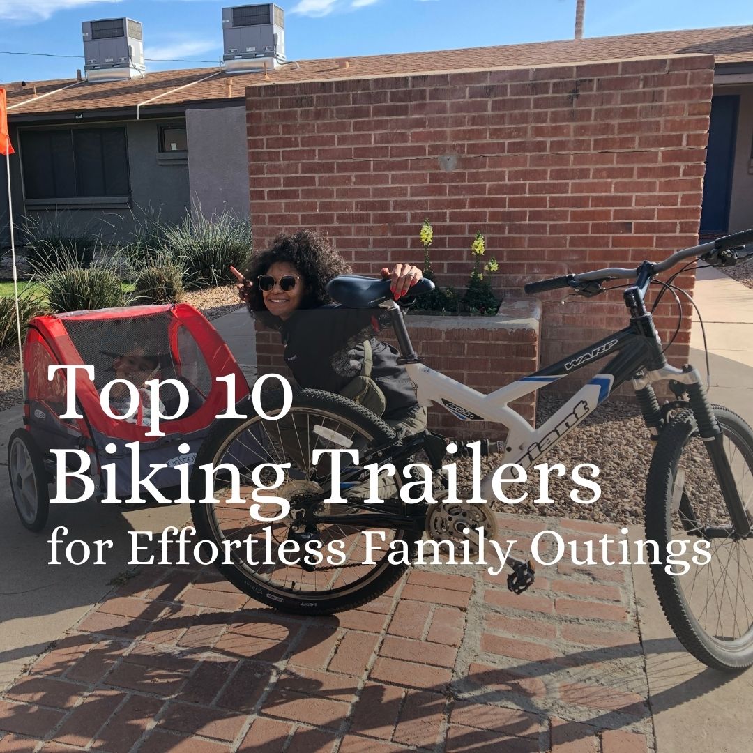 The Top 10 Biking Trailers for Effortless Family Outings – Mr. B's Baby ...